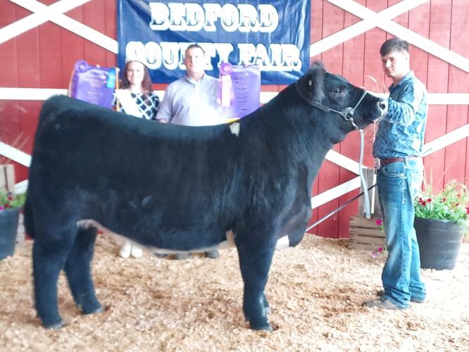 Jay's steer takes grand champion banner | Local News | bedfordgazette.com