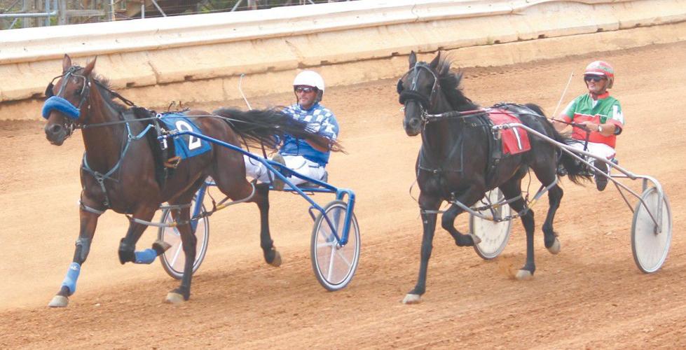 Harness racing track records fall at the Fair | Local News ...
