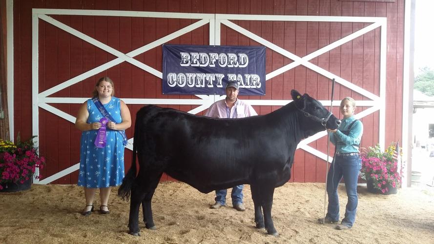 Beef Breeding Show at Fair | Local News | bedfordgazette.com
