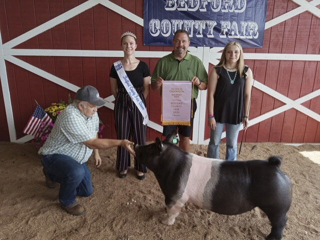 Junior Livestock Auction raises $411K | Local News | bedfordgazette.com
