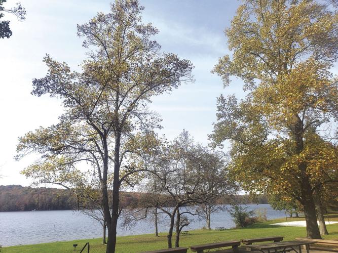 Fall foliage colors nearing peak | Local News | bedfordgazette.com