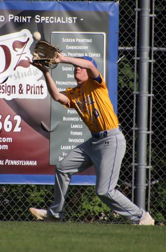 Knox leads Bisons past Lions in postseason, 3-2 | Game | bedfordgazette.com