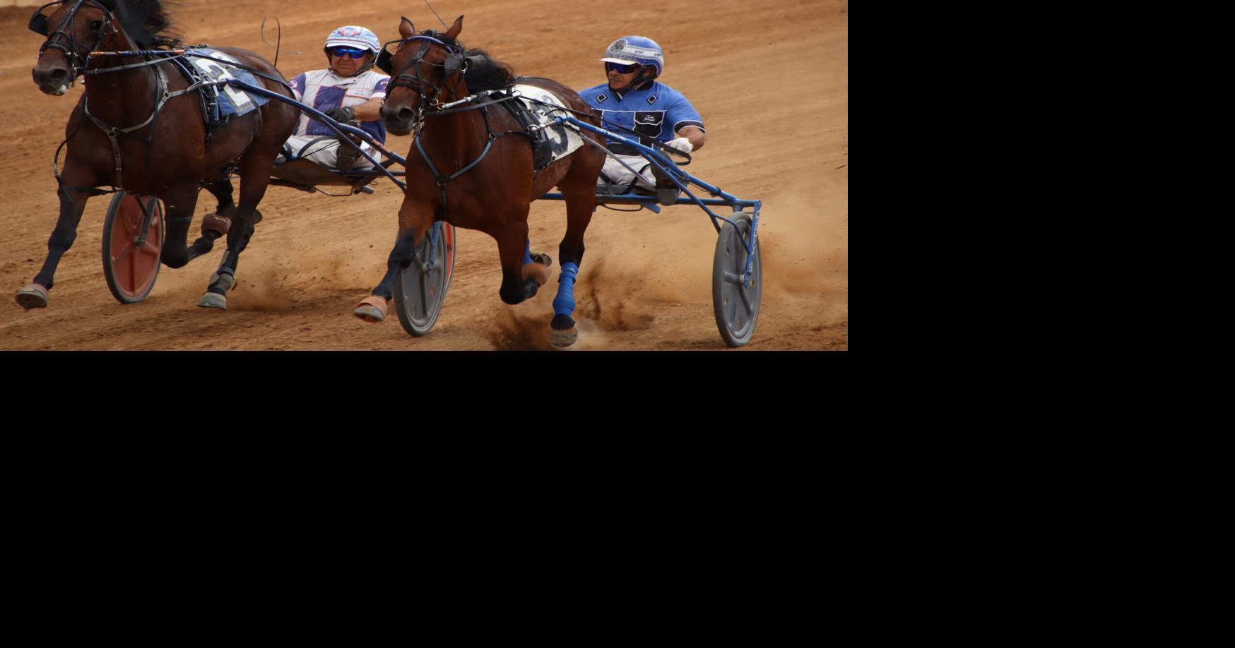 Hot trotting and pacing lead the way at Bedford harness racing | Local ...