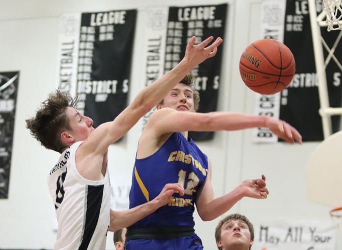 Lions roar past Black Panthers in cat fight, 76-39 | Local ...