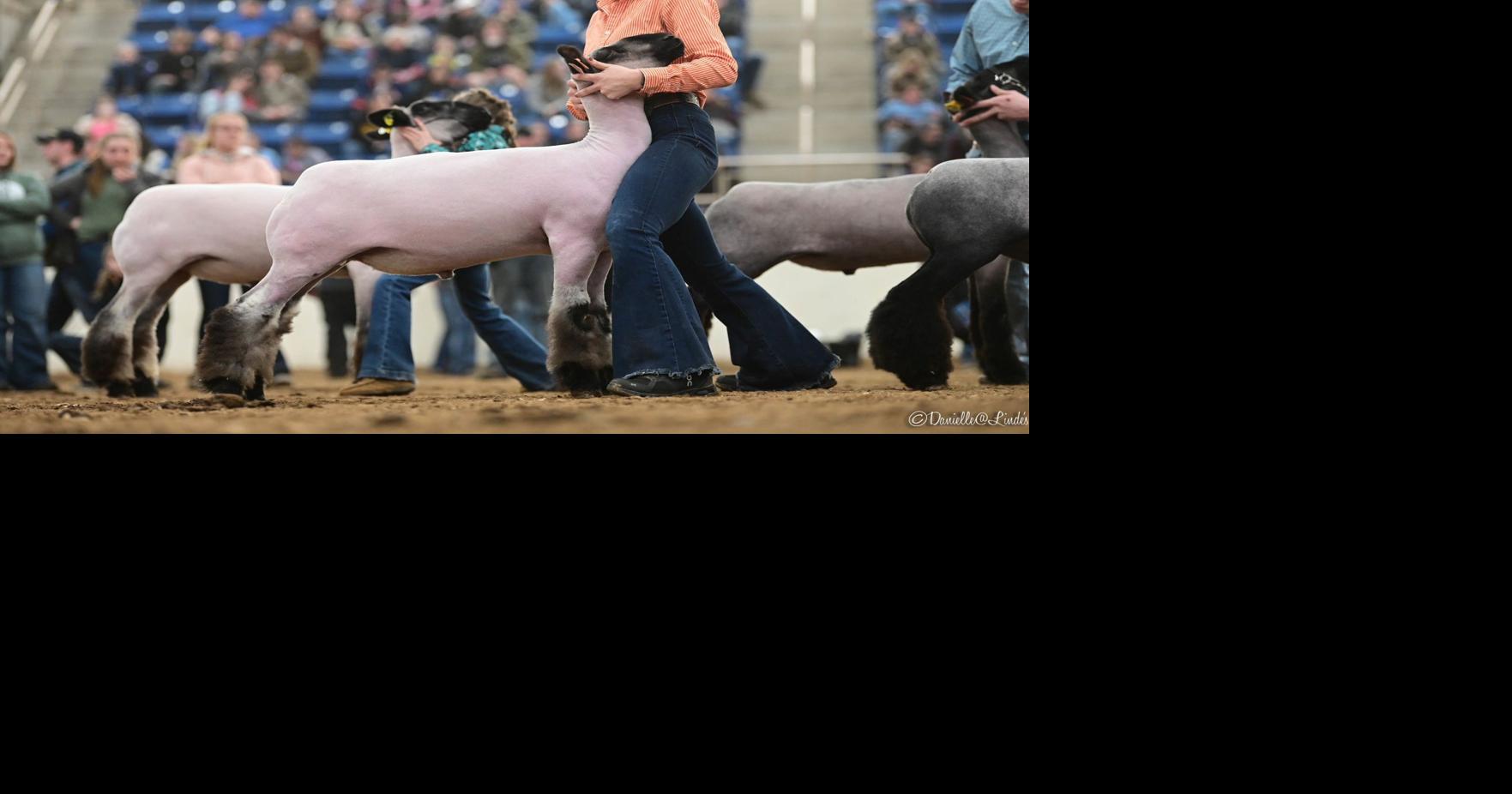 Tewell shows grand champion lamb at Farm Show | Local News ...