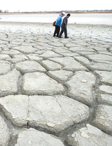 Drought prompts disaster declarations in 11 states | Archives ...