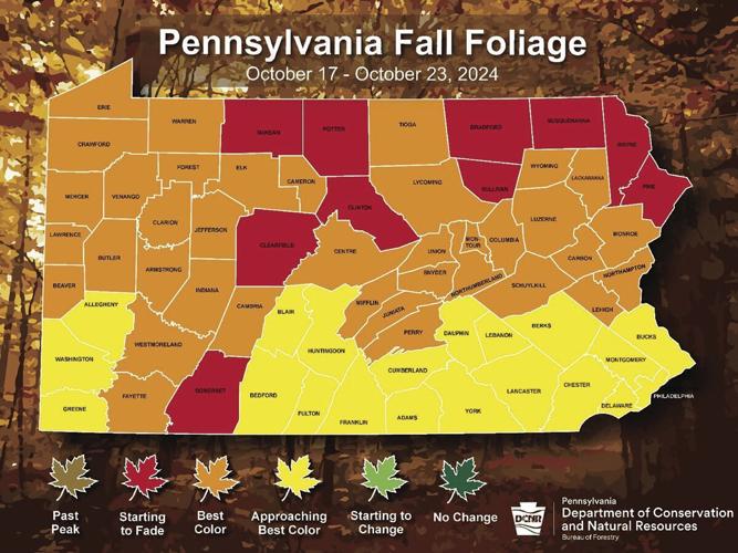 Fall foliage colors nearing peak | Local News | bedfordgazette.com