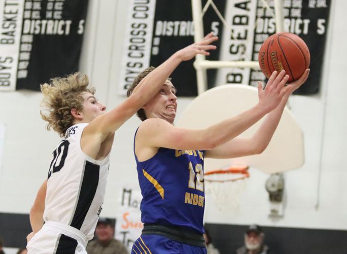 Lions roar past Black Panthers in cat fight, 76-39 | Local ...