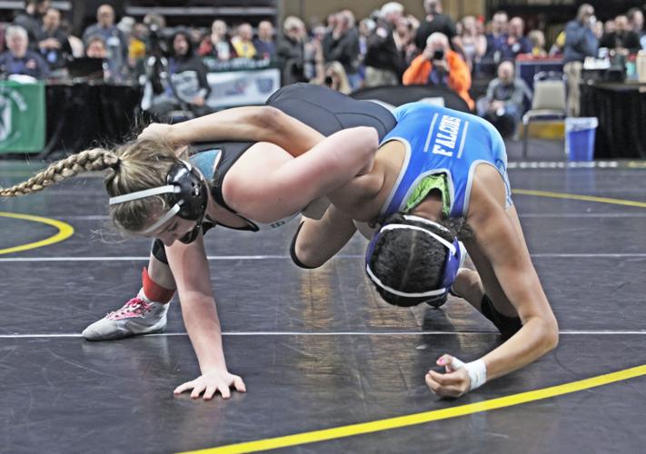 County girl wrestlers make history at first PIAA state tourey | Local ...