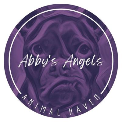 Abby's Angels hosting animal fundraiser | Local News | bedfordgazette.com