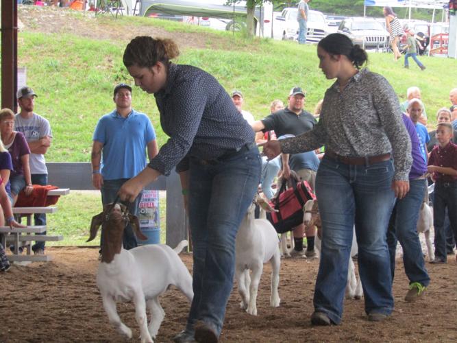 Barkley named top goat showman | Local News | bedfordgazette.com