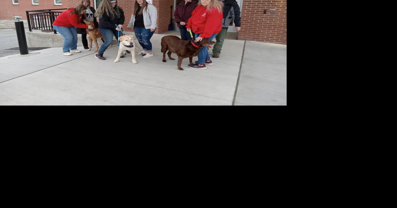 Bail lowered in animal hoarding case | Local News | bedfordgazette.com