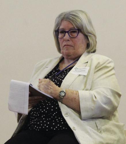 County office candidates meet for second time | Local News ...