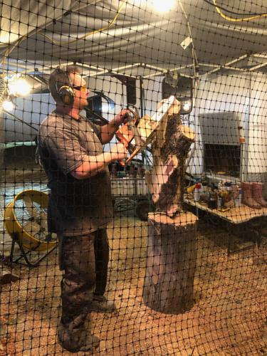 Chainsaw artists carving out a niche | News | bedfordgazette.com