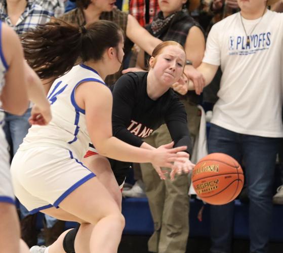 Windber trips up Tussey Mountain in D5 semifinal | Local ...