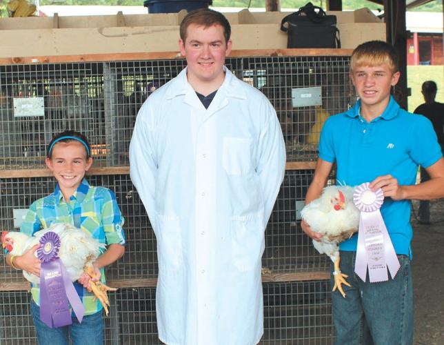 Winners chosen in poultry competitions, posters | Local News ...