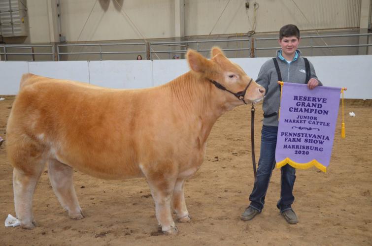 Guyer shows champion bull, Jay shows reserve champion market steer ...