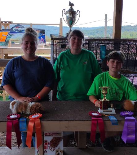 Fair: Cavy | Local News | bedfordgazette.com