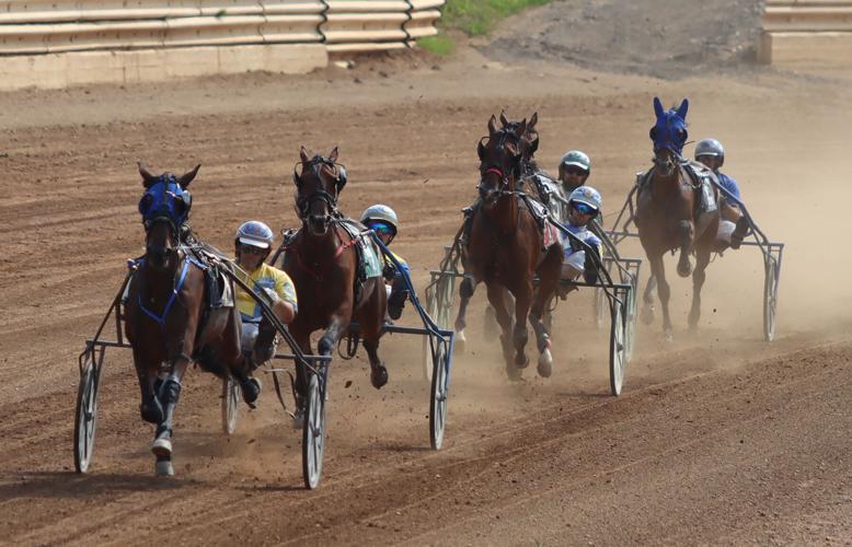 Schadel, Neal lead the way with 3 wins each at harness racing | Local ...