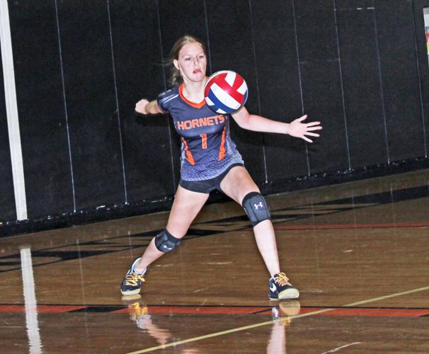 Turkeyfoot spikers sweep HOPE for Hyndman | Local | bedfordgazette.com