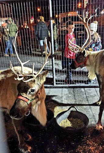 CHIP celebrates annual Christmas event | Local News | bedfordgazette.com