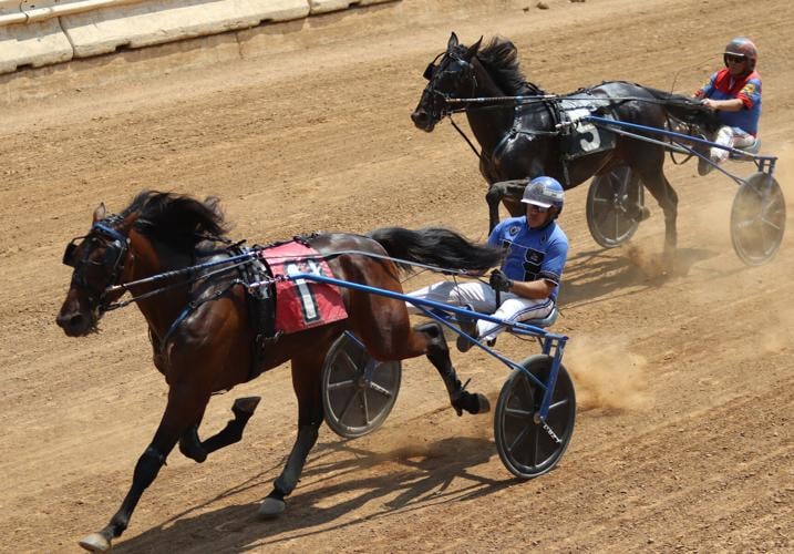 Schadel, Neal lead the way with 3 wins each at harness racing | Local ...
