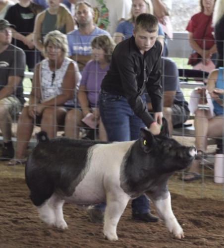 Imler shows top hog | Local News | bedfordgazette.com