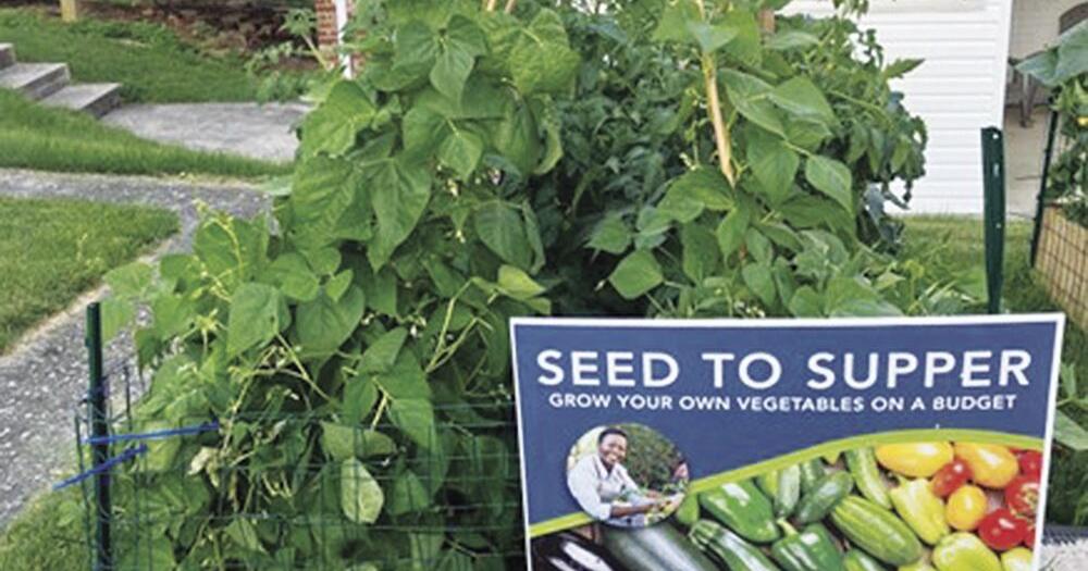 Seed to Supper program ready for new year | Local News | bedfordgazette.com