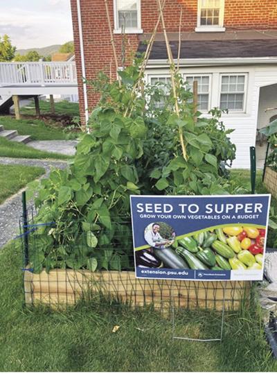 Seed to Supper program ready for new year | Local News | bedfordgazette.com