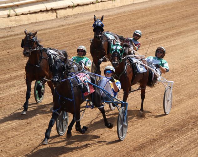 Track records fall in final day of harness racing | Local ...