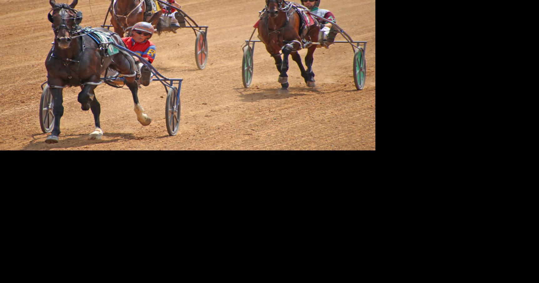 Roger, Wilder drive to victory on harness racing opening | Local ...