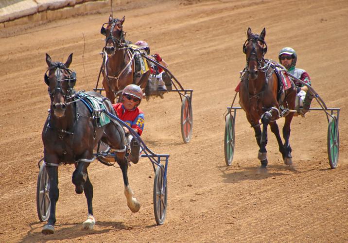 Roger, Wilder drive to victory on harness racing opening | Local ...