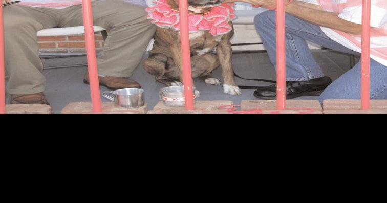 Pink Jail | Local News | bedfordgazette.com