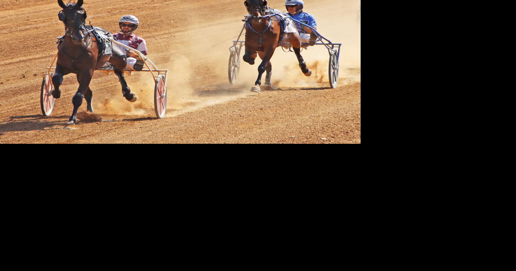 Harness racing kicks off Sunday that fairgrounds | Local ...