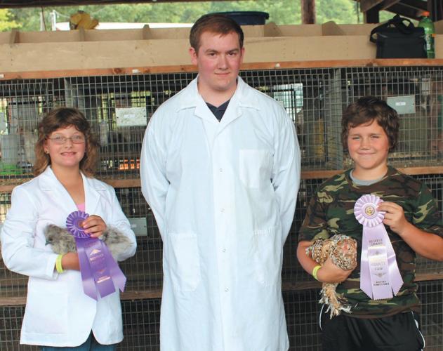 Winners chosen in poultry competitions, posters | Local News ...