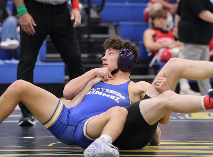 Snider wins outstanding wrestler as locals take gold at ICC | Local ...
