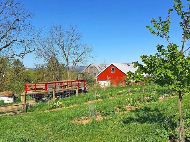 Fall Time on the Farm comes to Hospitality Spring Farm | Local News ...