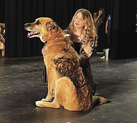 NBC students to stage 'Annie: The Musical' | Local News ...