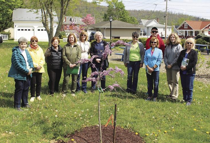 Local groups mark Arbor Day | Local News | bedfordgazette.com