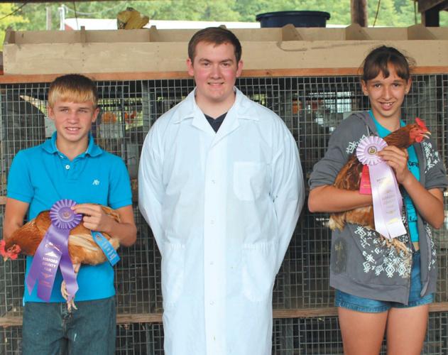 Winners chosen in poultry competitions, posters | Local News ...