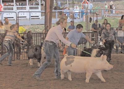 Taylor Conley wins master swine showman title | Local News ...