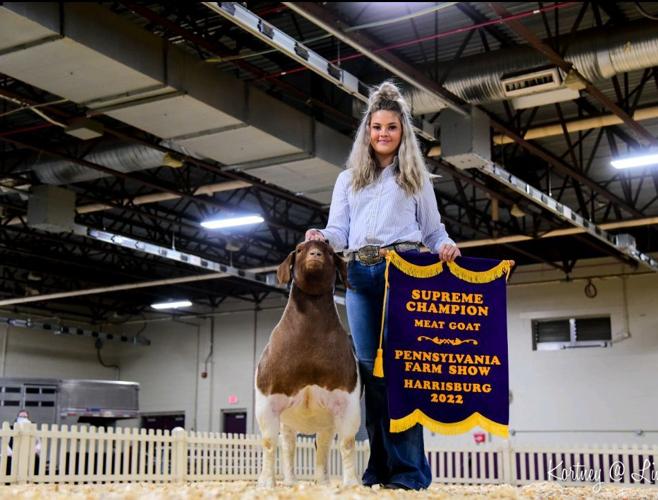 Lankey shows Supreme Champion at Farm Show | News | bedfordgazette.com