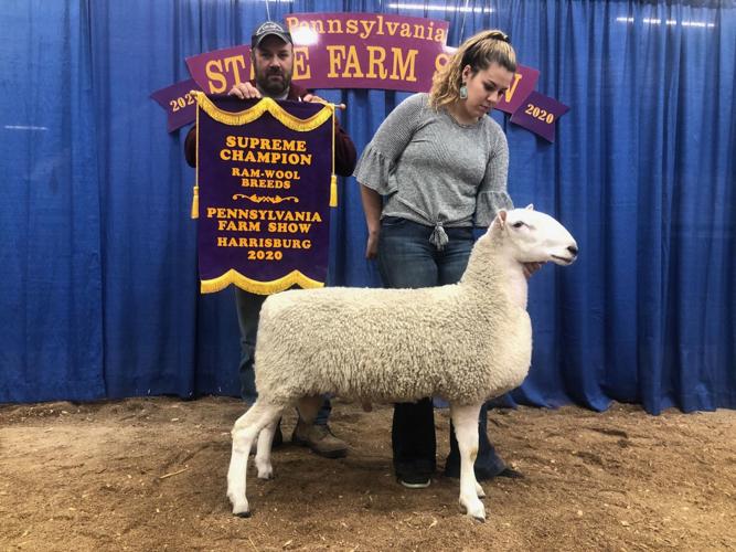Barkley, Lankey show champion animals at Farm Show | News ...