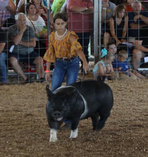 Jay shows top hog | Local News | bedfordgazette.com
