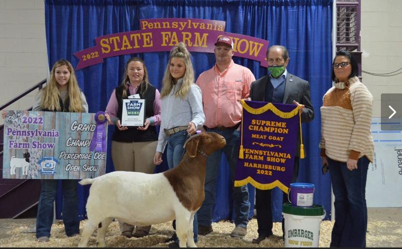 Lankey shows Supreme Champion at Farm Show | News | bedfordgazette.com