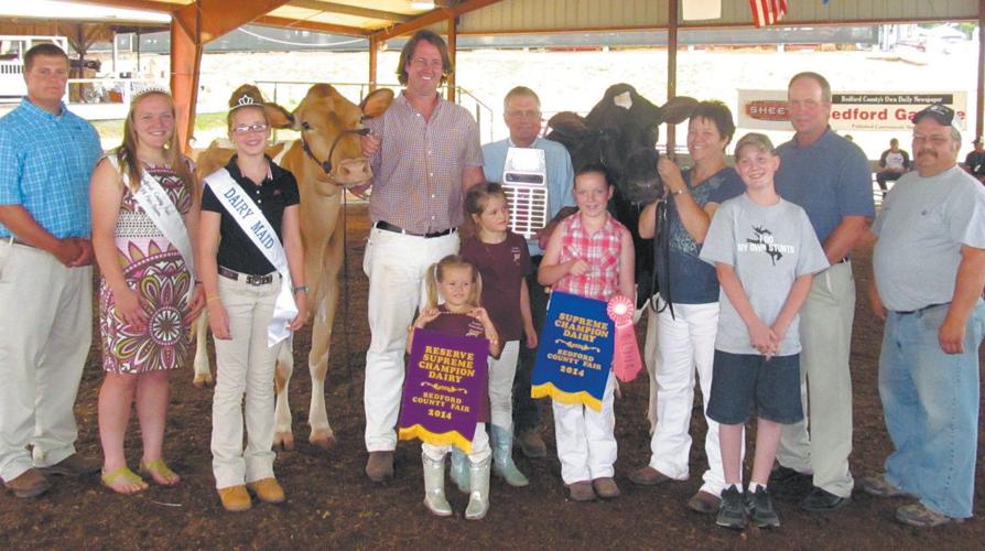 Holstein is top cow in open dairy show | Archives | bedfordgazette.com