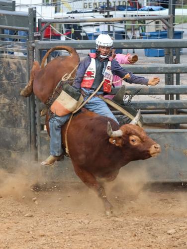 Bulls, horses, and barrels — oh my! | Local | bedfordgazette.com