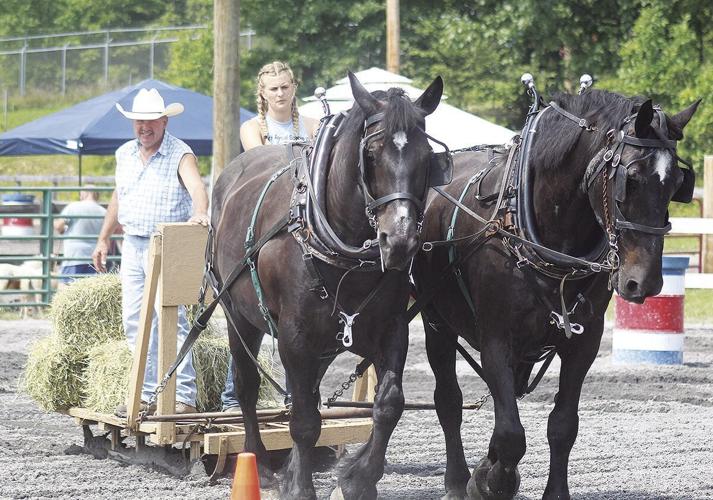 Draft Horse Judging crowns 12 champs | Local News | bedfordgazette.com
