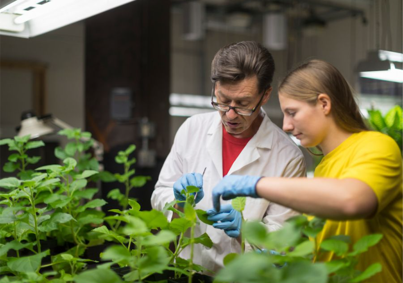 Canisius professor part of $750,000 USDA research grant on natural crop ...