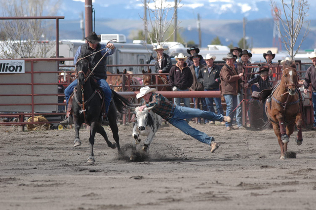 Three Forks Rodeo | Local News | belgrade-news.com